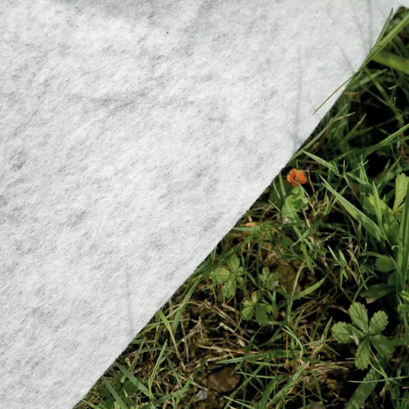 Basen Kompozytowy Gre 524x386x124 KPCOV52